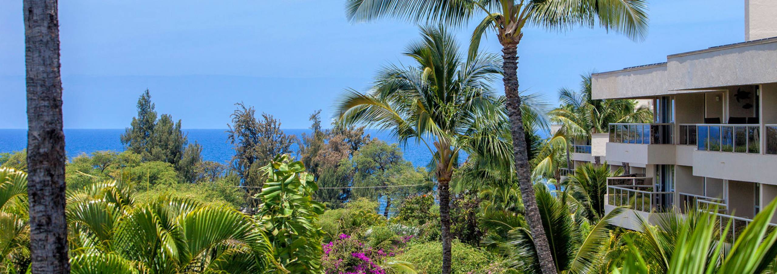 Vacation Rentals in Maui, HI | Maui Banyan Condo Rentals