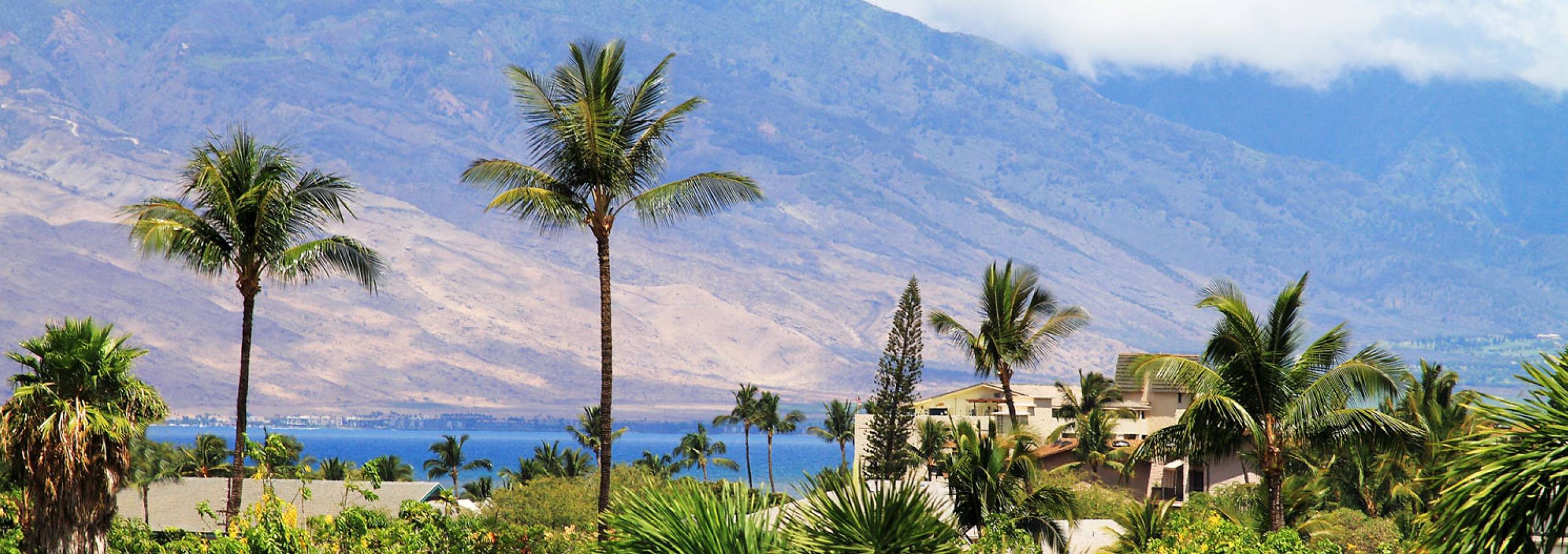 Vacation Rentals in Maui, HI | Maui Banyan Condo Rentals